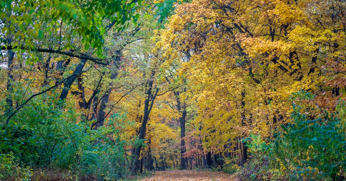 Can’t-Miss Events in October | Experience Waterloo